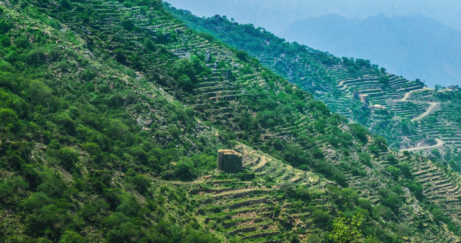 Things To Do In Abha, Places To Visit In Abha