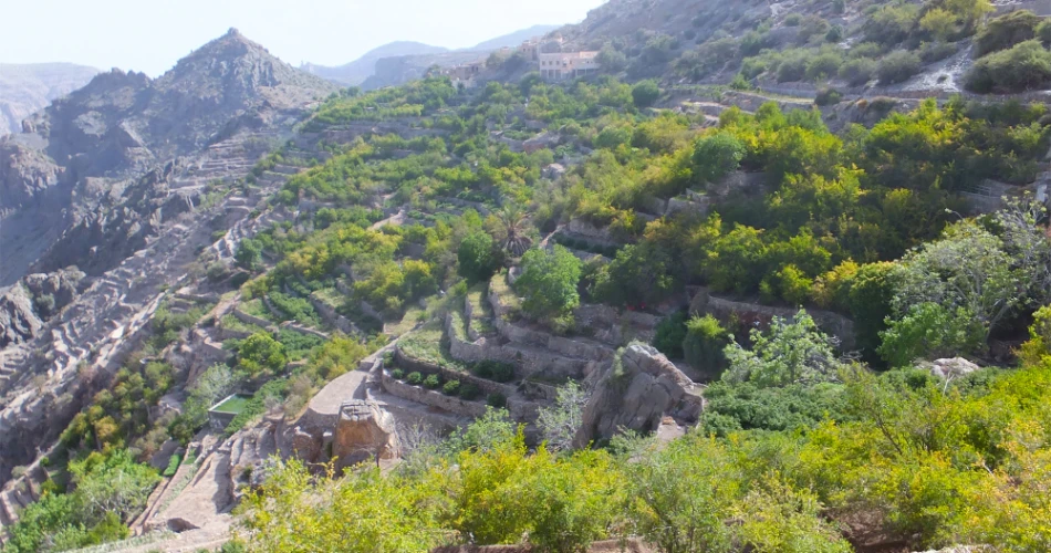 Things To Do In Abha, Places To Visit In Abha